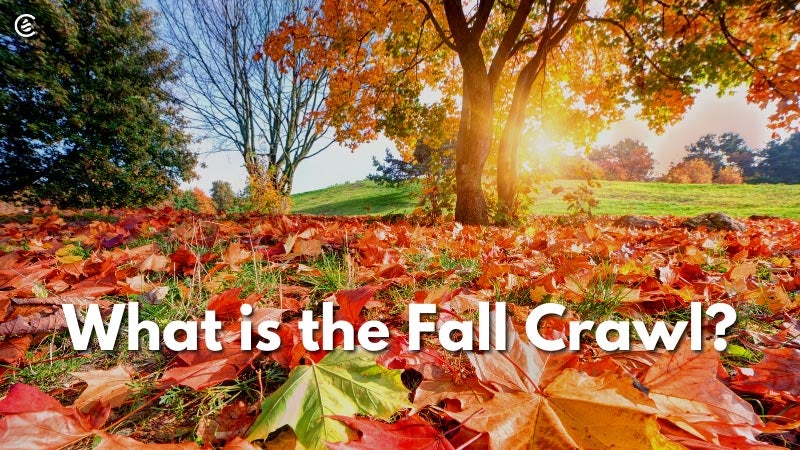 What is the Fall Crawl, and How to Avoid it? | Cedarcide