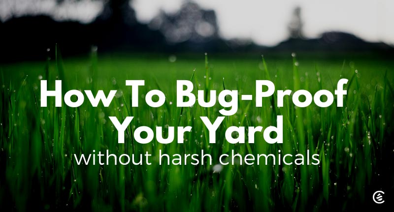 How to Bug-Proof Your Yard without Harsh Chemicals – Cedarcide
