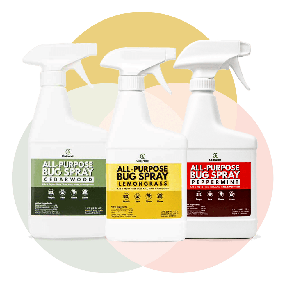 The Best Pet-Friendly All-Purpose Bug Spray | Cedarcide