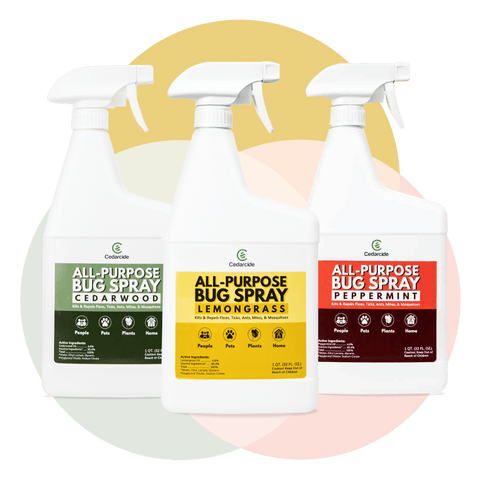 The Best Pet-Friendly All-Purpose Bug Spray | Cedarcide