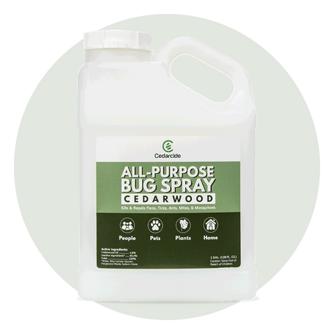 The Best Pet-Friendly All-Purpose Bug Spray | Cedarcide