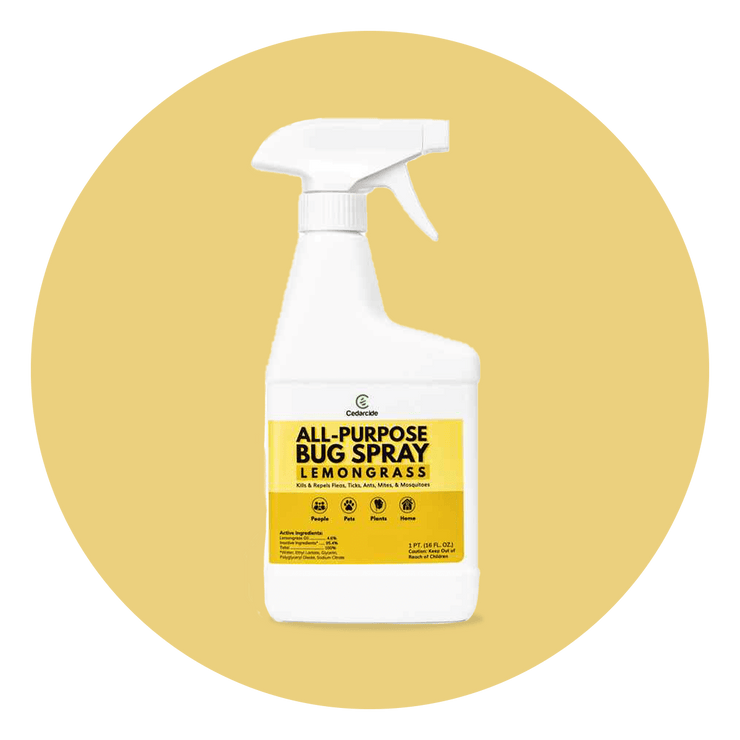 The Best Pet-Friendly All-Purpose Bug Spray | Cedarcide
