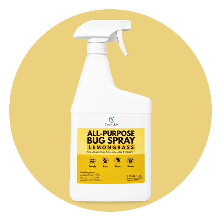 The Best Pet-Friendly All-Purpose Bug Spray | Cedarcide