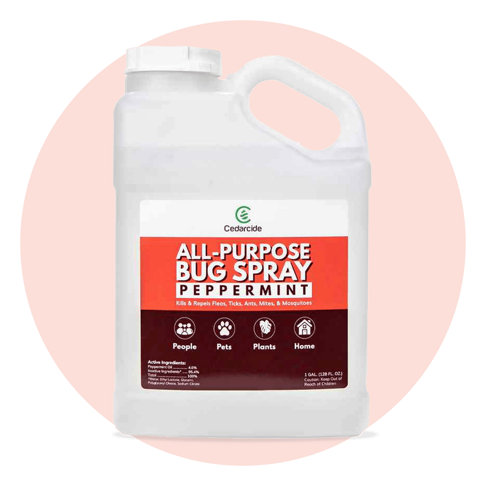 The Best Pet-Friendly All-Purpose Bug Spray | Cedarcide