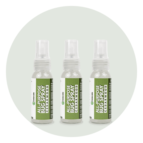 The Best Pet-Friendly All-Purpose Bug Spray | Cedarcide