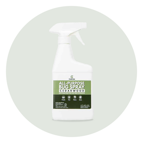 The Best Pet-Friendly All-Purpose Bug Spray | Cedarcide