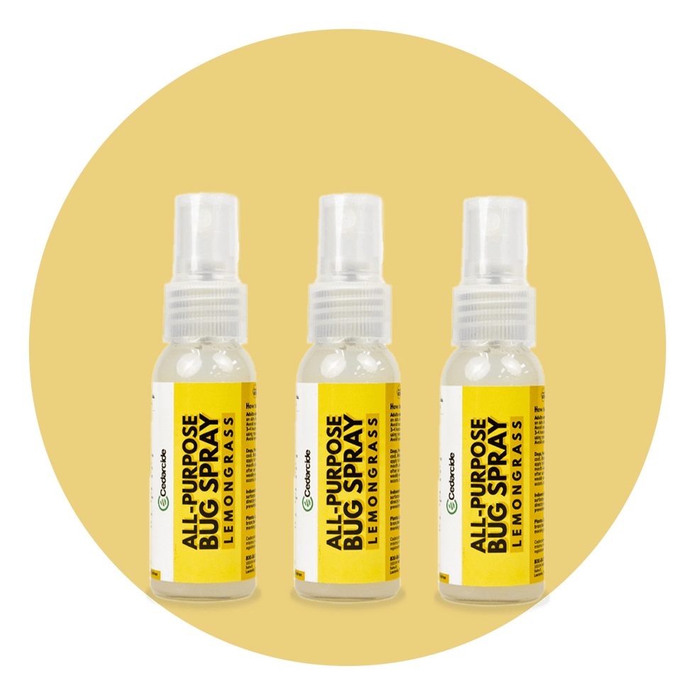 The Best Pet-Friendly All-Purpose Bug Spray | Cedarcide