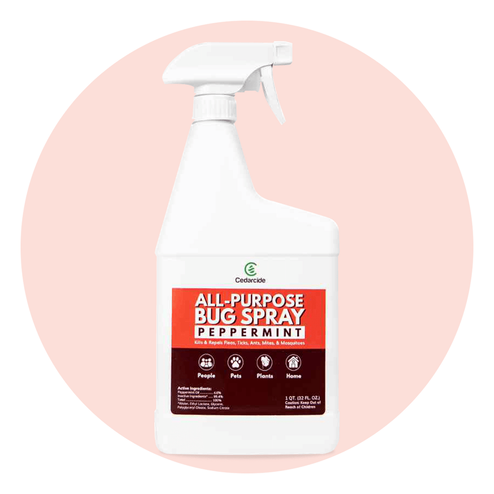 The Best Pet-Friendly All-Purpose Bug Spray | Cedarcide