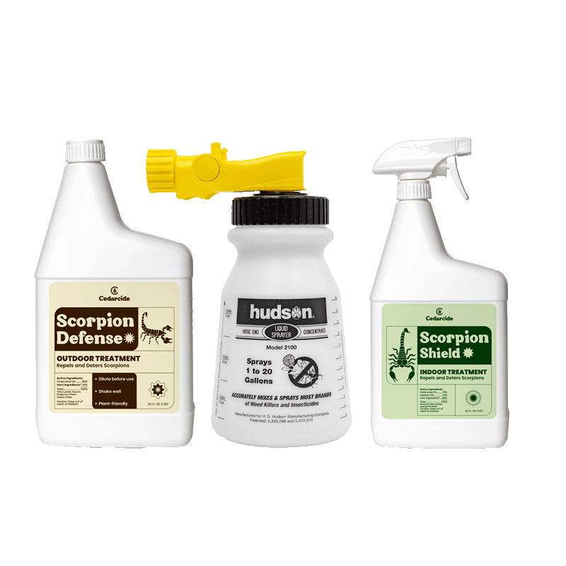 The Best Kit to Get Rid of Scorpions Quickly | Cedarcide
