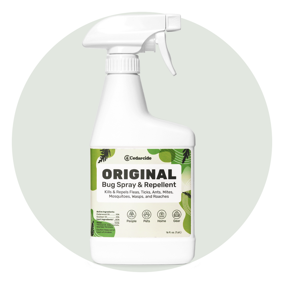 Get Rid of Bugs with a Plant Powered Bug Spray | Cedarcide