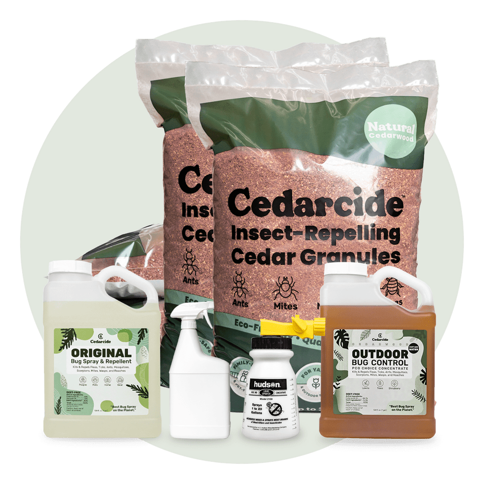 Get Rid of Insects with our Insect Control Kit | Cedarcide