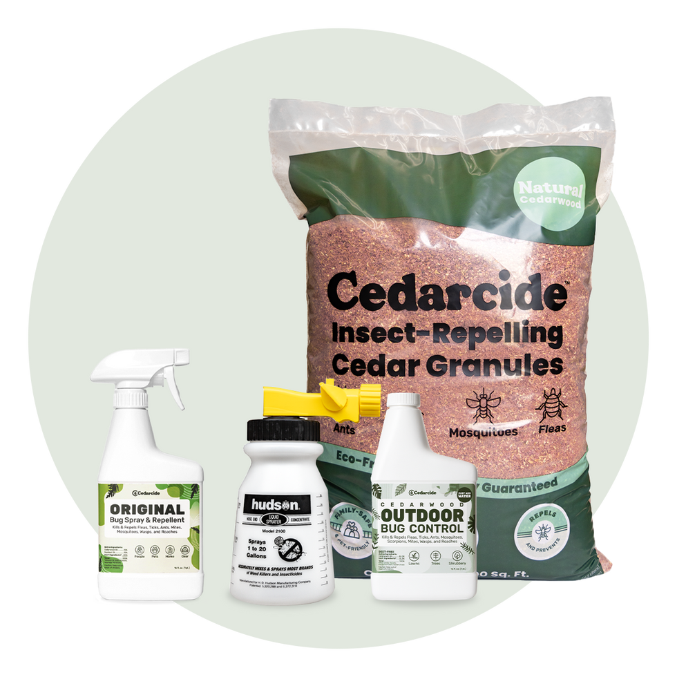 Get Rid of Insects with our Insect Control Kit | Cedarcide
