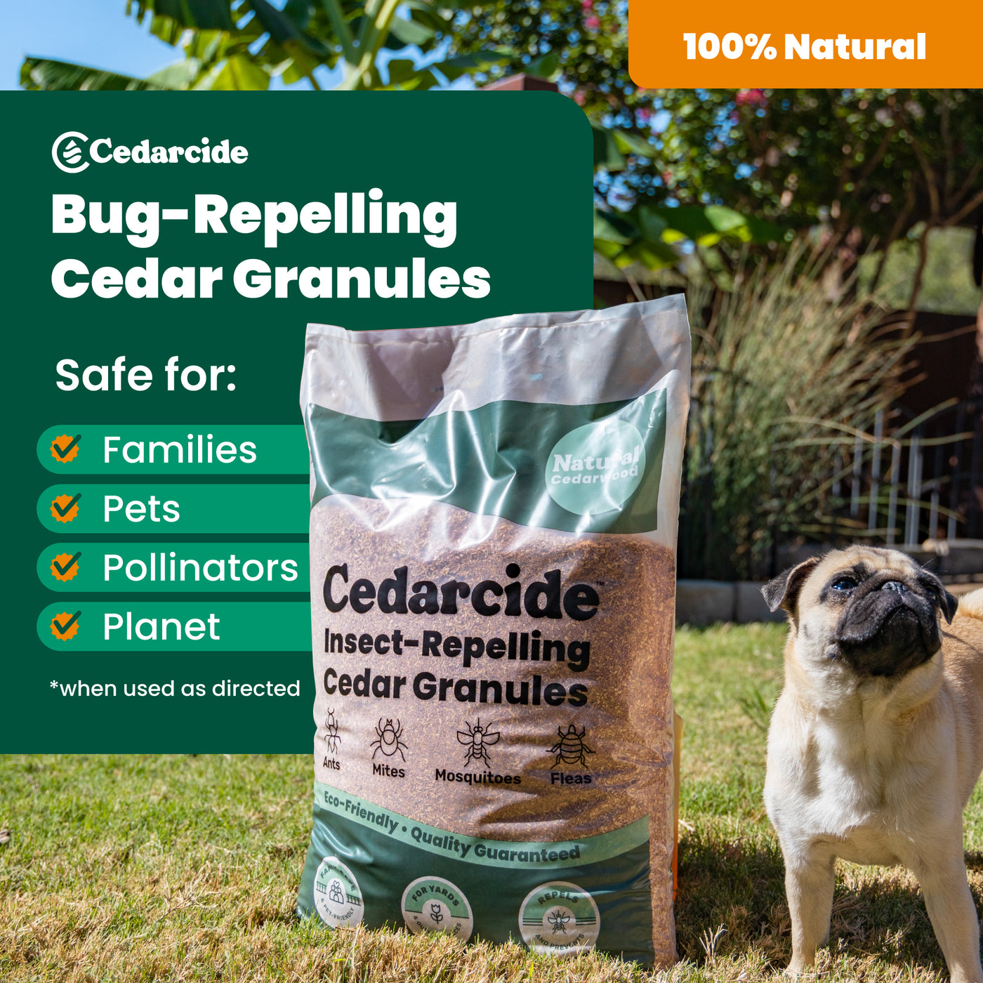 Say Goodbye to Biting Bugs with Cedar Granules | Cedarcide