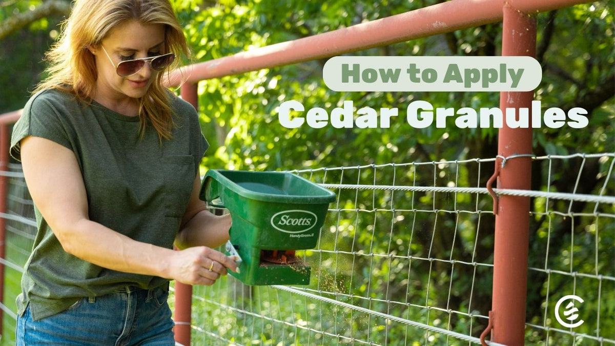 Say Goodbye to Biting Bugs with Cedar Granules | Cedarcide