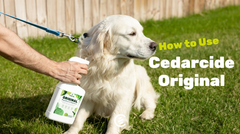 Get Rid of Bugs with our Original Bug Spray Kit | Cedarcide